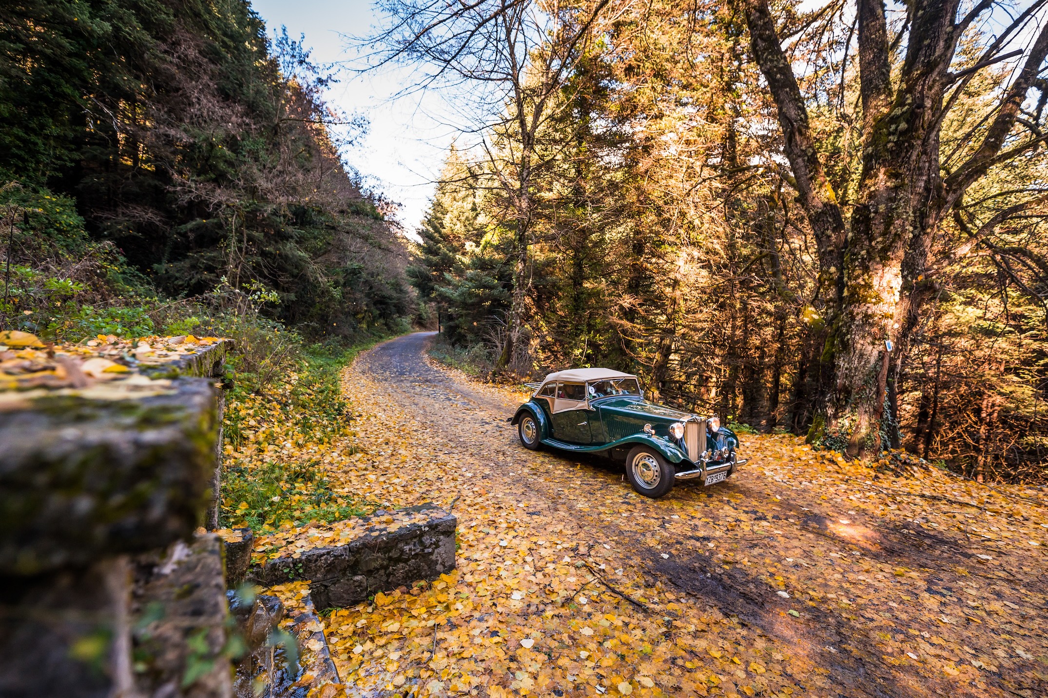 2026 - Arcadia Classic Tour Event